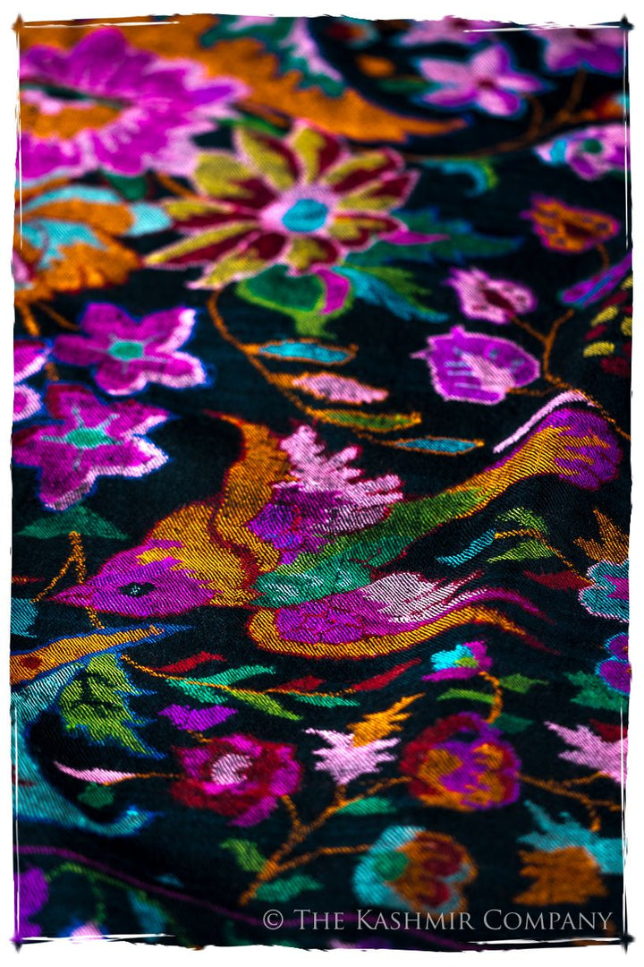 Oiséaux du Paradisé - Kani Grand Handloom Pashmina Shawl — Seasons by ...