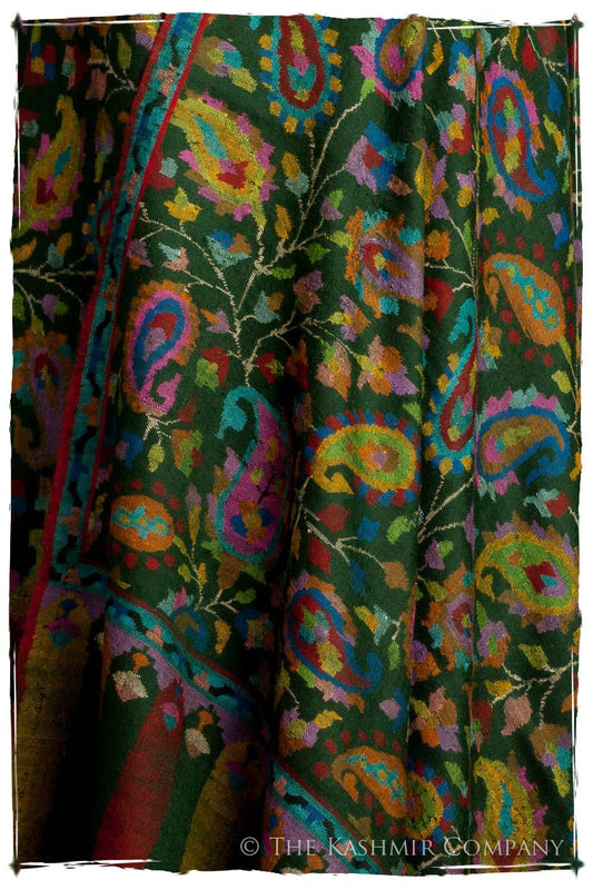 L’amazone - Kani Grand Handloom Pashmina Shawl — Seasons by The Kashmir ...