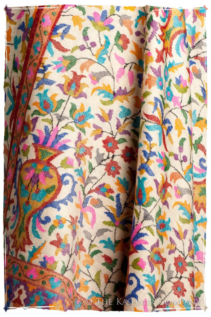 La Carnaval Shawl - Kani Grand Handloom Pashmina Shawl — Seasons by The ...